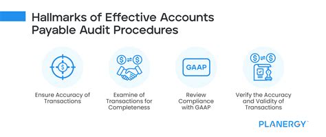 Accounts Payable Audit Procedures Planergy Software
