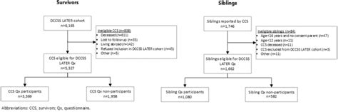 flowchart of invitation process and participation of survivors and