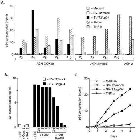 Ox40 Stimulation By Gp34 Ox40 Ligand Enhances Productive Human Immunodeficiency Virus Type 1
