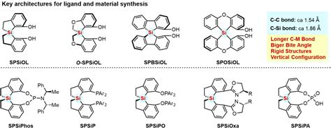 Ligand Development The Wang Group
