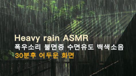 강력한 폭우 와 양철지붕 위에 떨어지는 수면유도 빗소리 속시원한 마음으로 잠에 빠져 듭니다 숙면을 위한 백색소음 Youtube