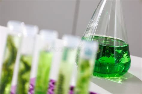Research And Biotech Science Scientists Are Developing Research On Algae Bio Energy Biofuel