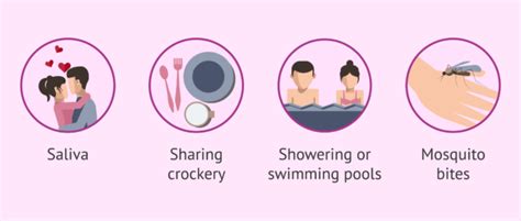 Routes Through Which Hiv Is Not Transmitted