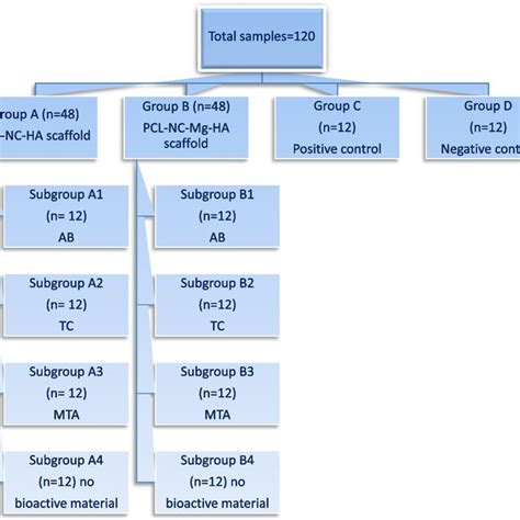 flow chart described grouping of samples download scientific diagram