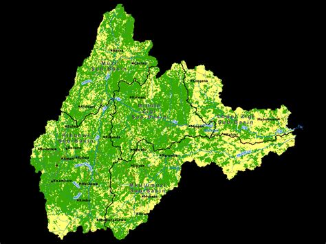 A Python Script That Analyzes Satellite Imagery In Google Earth Engine Upwork