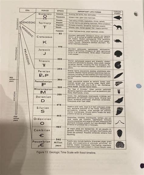 Solved Figure 13 Geologic Time Scale With Fossil Chegg Com
