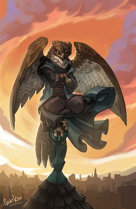 Aarakocra Pathfinder Race Dandd Wiki