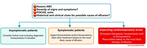 Pleural Effusion In Critically Ill Patients Recapem