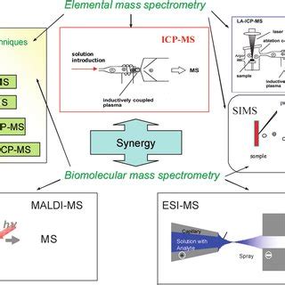 Strategies Using Imaging LA ICP MS For Trace Element Distribution On Download Scientific