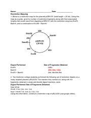 Practice And Application Of Restriction Mapping In Plasmids Course Hero