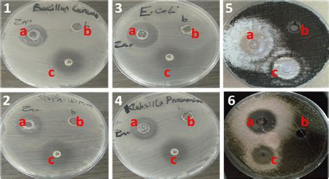The Antimicrobial Activity Of Biosynthesized Zno Nps Against B