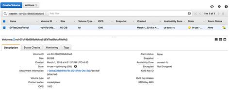 Using Amazon Ebs Elastic Volumes With Oracle Databases Part 1
