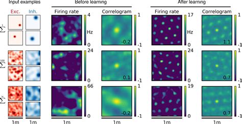 Figures And Data In Learning Place Cells Grid Cells And Invariances
