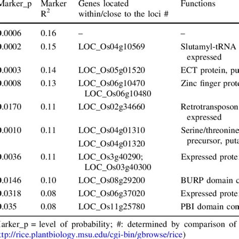 The Simple Sequence Repeat Ssr Markers Linked To Blast Resistance By