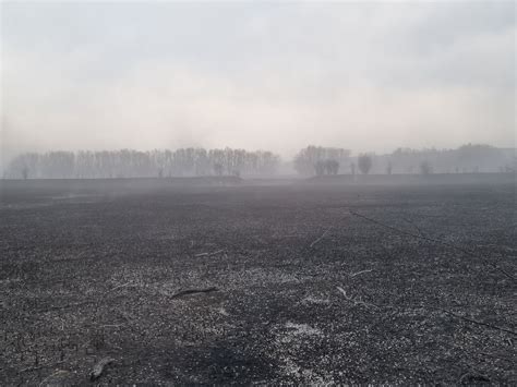 Българско дружество за защита на птиците Birdlife Bulgaria Home