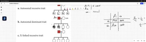 Solveda Man With A Specific Unusual Genetic Trait Marries An