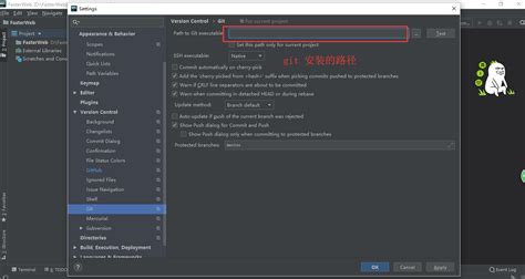 JetBrains WebStorm 如何从GitHub上克隆的代码 杭州铁锤 博客园