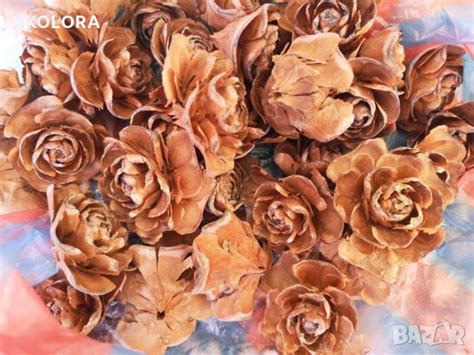 Огромни Шишарки в Декорация за дома в гр Добрич Id27237139 Bazar Bg