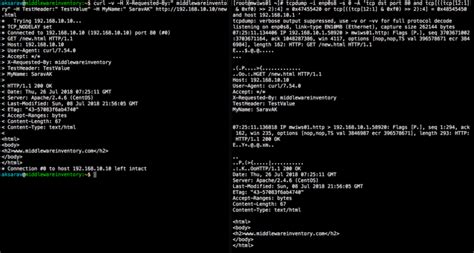 TCPDump Capture GET POST Requests Devops Junction