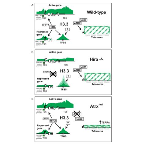 Martin Krzywinski Effective Graphical Abstract Design For Science