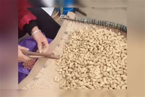 奶奶做的剥花生神器眼前的一幕就是劳动人民的智慧