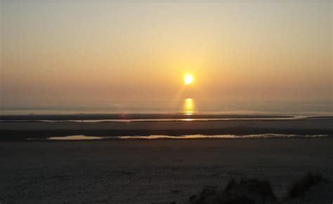 Nuit Blanche Stochastic Gradient Descent As Approximate Bayesian Inference