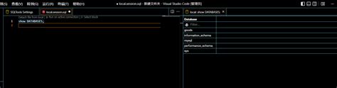 Vs Code Mysql Sqltools Toy