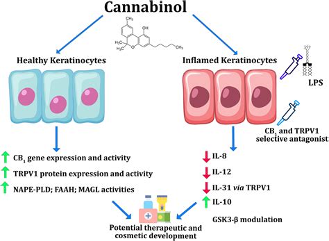 Biofactors Vol 51 No 1