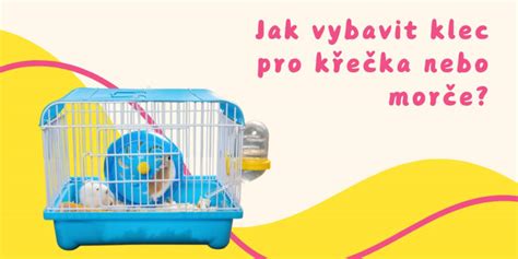 Jak Vybavit Klec Pro Křečka Nebo Morče Vytvořte Jim Příjemný Domov Jofikrmivacz