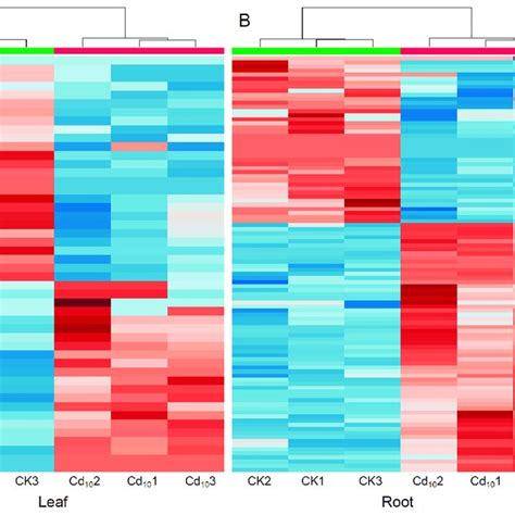 heatmap clustering of the relative contents of the differential download scientific diagram
