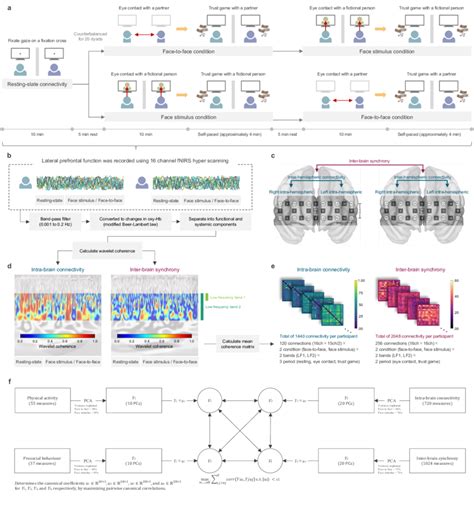 Schematic Overview Of The Study A A Schematic Diagram Illustrating Download Scientific