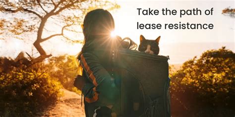 Fixed Asset Software For Energy Industry In Australia Asset Accountant