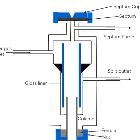 Addressing Challenges Associated With Gas Chromatography Injection Techniques Feb 01 2022
