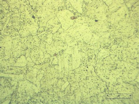 Metallurgy Metallurgy Microstructure Microstructure Superalloys… Farshad Ghadimi