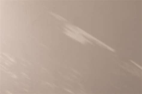 3d 렌더링 자연 개념 아름다운 단풍은 방 안의 빈 흰색 벽지에 그림자를 남깁니다 배경 배경 자연 여름 아침 햇빛 에코 공간