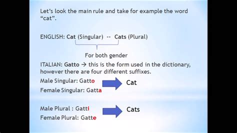 Italian Grammar Lesson Lesson 4 Gender And Number Of Italian Words YouTube