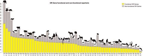 The Full Or Repertoire Of 58 Mammalian Genomes The Sequenced Genomes