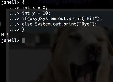 Jshell Prevent Enter Key To Execute Java Statement Or How To Set
