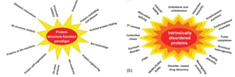 Protein Folding 6 Intrinsically Disordered Proteins Flashcards Quizlet