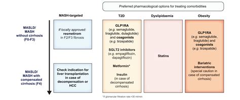 Metabolic Dysfunction Associated Steatotic Liver Disease Diagnosis And