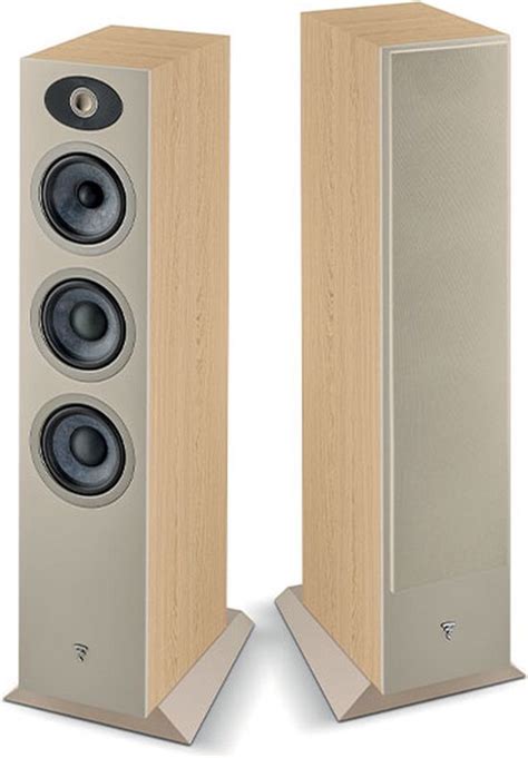 Focal Theva 2 Hifi Speaker Wij Helpen Je Kiezen