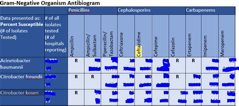 Solved Using Macros In Reports Sas Support Communities