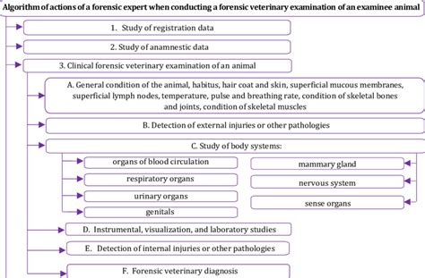 Block Diagram Algorithm Of The Forensic Veterinary Examination Of A
