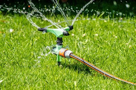 뜨거운 여름에서 일 하는 자동 급수 시스템의 스프링 클 러 0명에 대한 스톡 사진 및 기타 이미지 0명 관 튜브 관개 장비 Istock