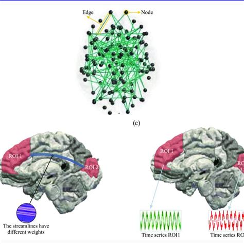 8 modelling the brain as a graph to build structural and functional download scientific