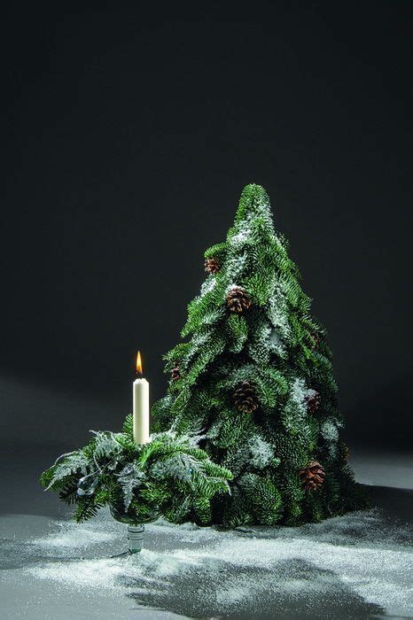 Как сделать елку из еловых веток? | Potted christmas trees, Holiday ...