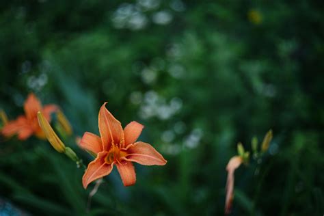 Ml Guide 03 — Dimension Reduction Pca Tsne By Tσrres Nov 2024 Medium