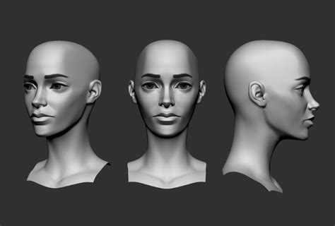 Face Reference For 3d Modeling Hd