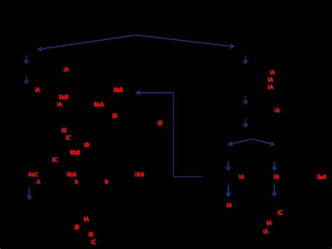 Simplified Algorithm Of STEMI Treatment Based On The Current European Download Scientific