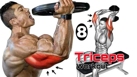 Triceps Workout 8 Best Exercises To Build Bigger Triceps Head Physical Exercise Triceps